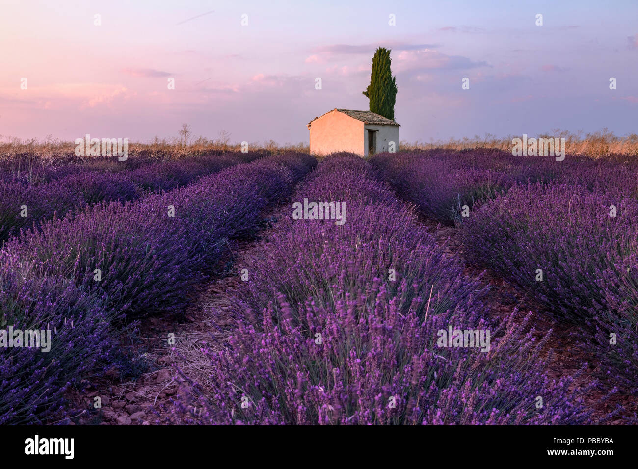 Valensole tourism hi-res stock photography and images - Alamy
