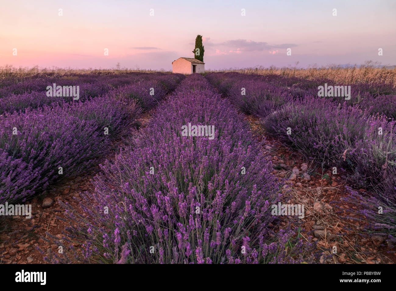 Valensole hi-res stock photography and images - Alamy