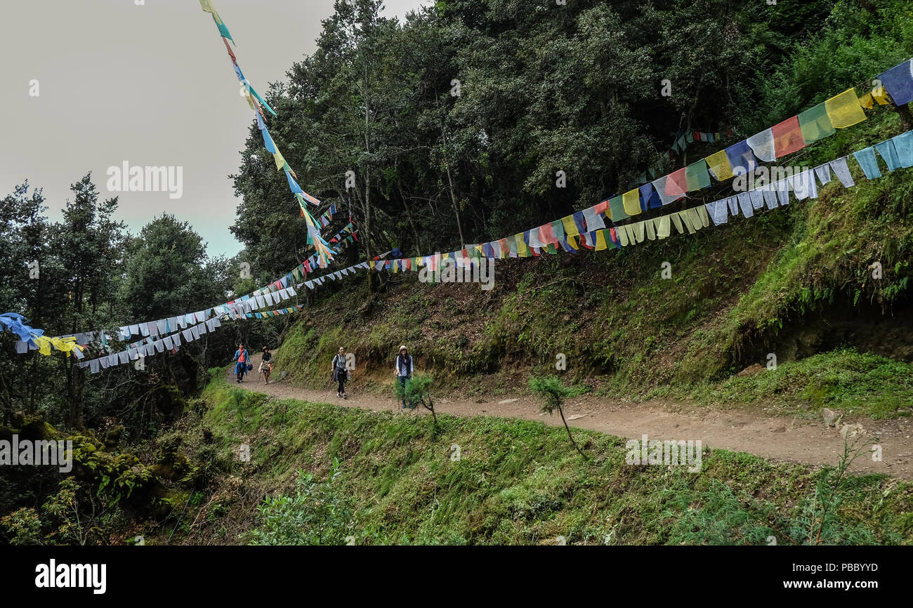 Paro, Bhutan - Sep 3, 2015. People walking on forest trail to Taktshang ...