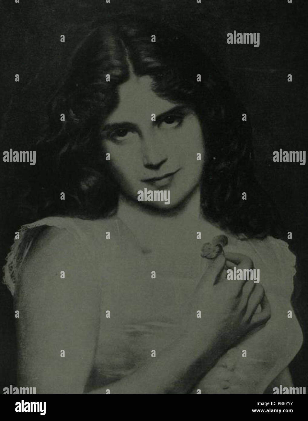 Pansy species hi-res stock photography and images - Alamy