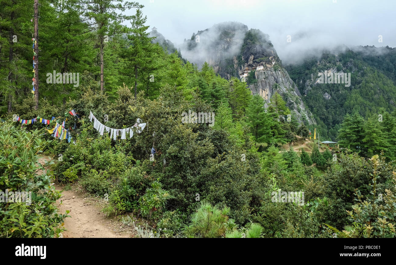 Mountain scenery with deep forest and Paro Taktsang Monastery (Tiger ...