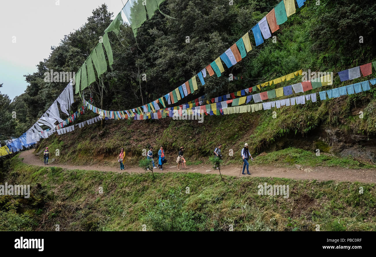 Paro, Bhutan - Sep 3, 2015. People walking on forest trail to Taktshang ...