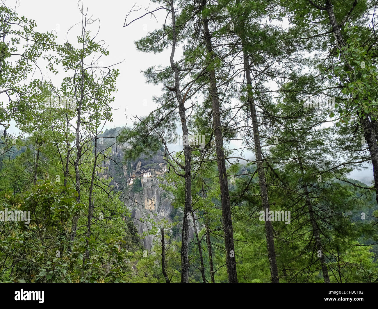 Mountain scenery with deep forest and Paro Taktsang Monastery (Tiger ...