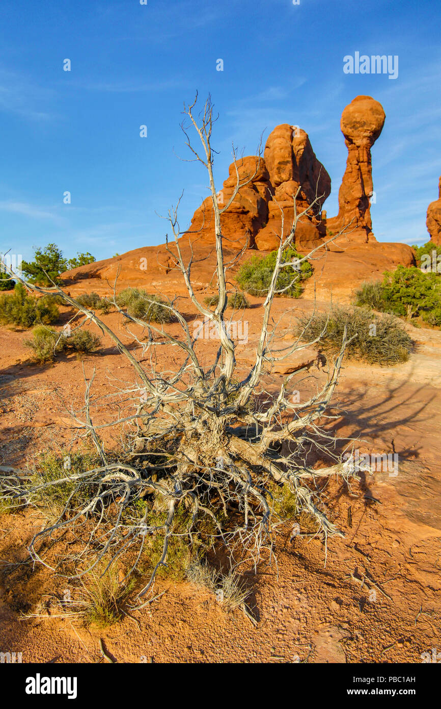 Tall stone columns hi-res stock photography and images - Alamy