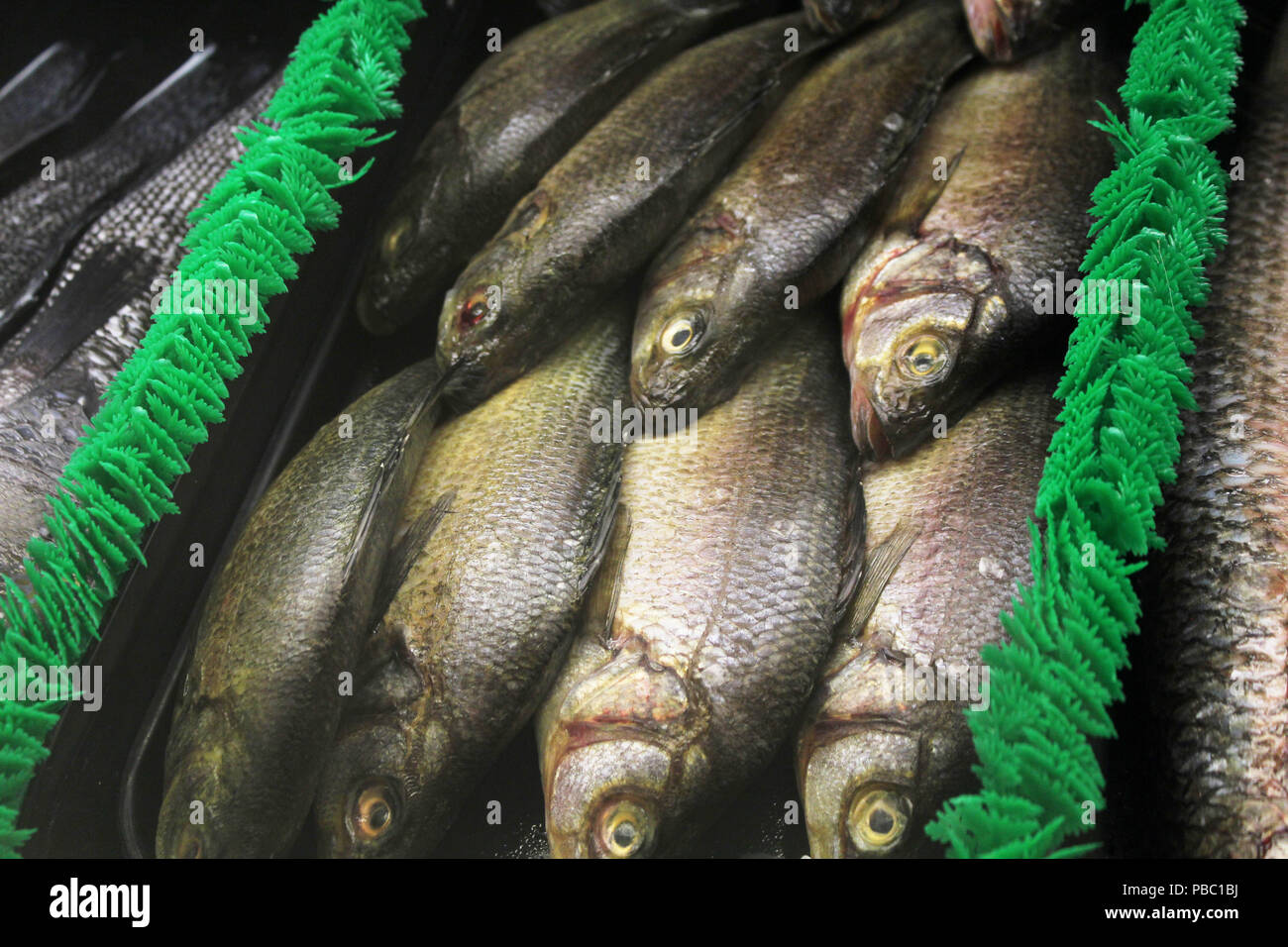 Fish ready for purchase in a case Stock Photo - Alamy