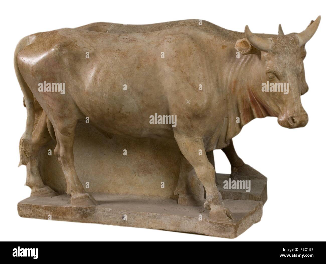 Roman Sculptor / 'Bull in high relief'. 20 a.C. - 60. White marble ...