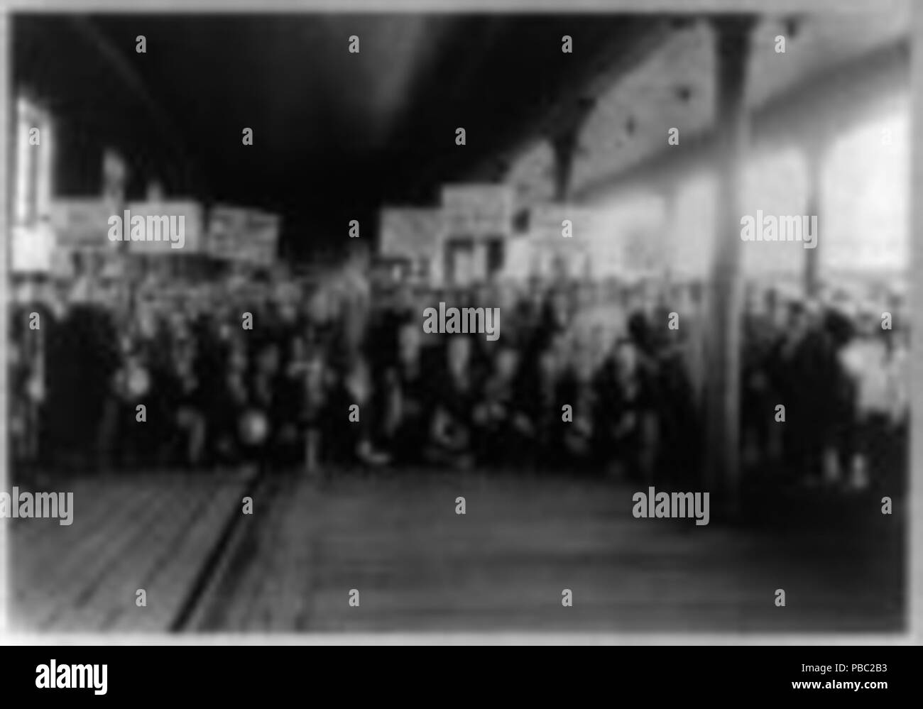 Bull moose photo hi-res stock photography and images - Alamy