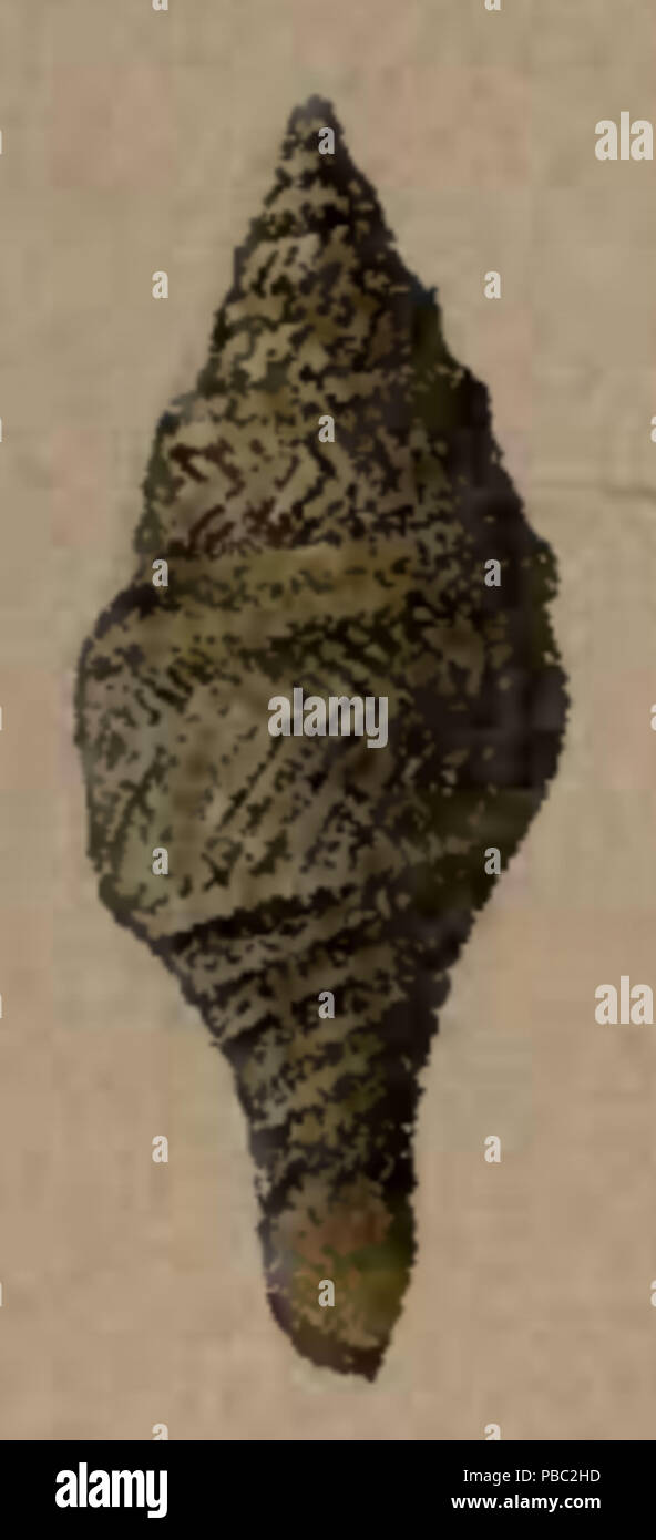 Perrona hi-res stock photography and images - Alamy