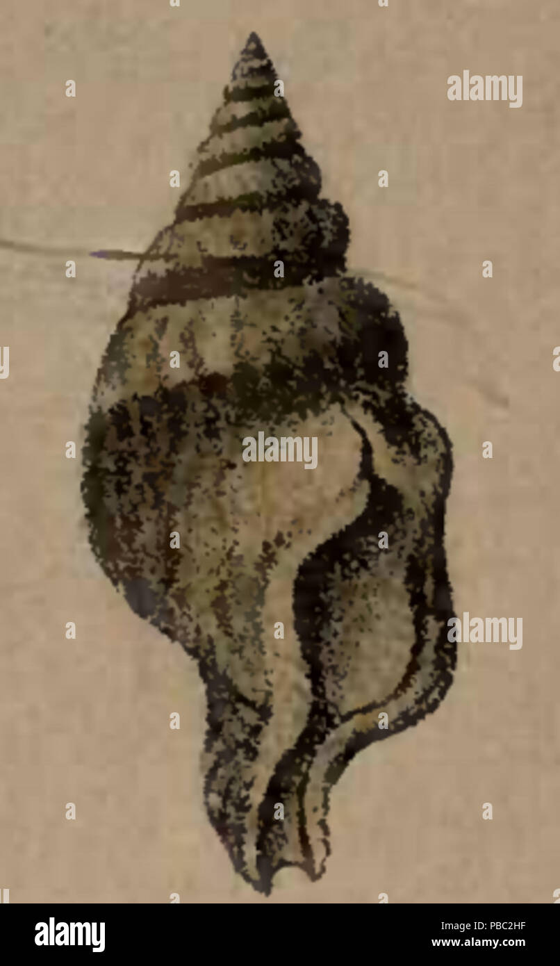 Perrona hi-res stock photography and images - Alamy