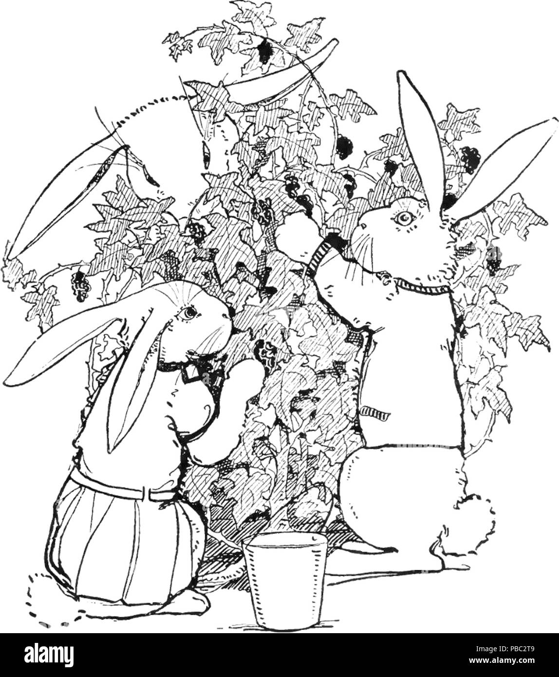 Peter rabbit Black and White Stock Photos & Images - Alamy