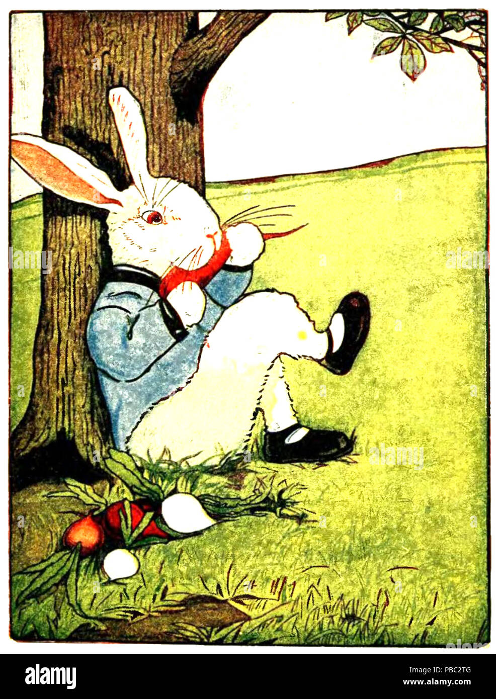 Peter rabbit hi-res stock photography and images - Alamy