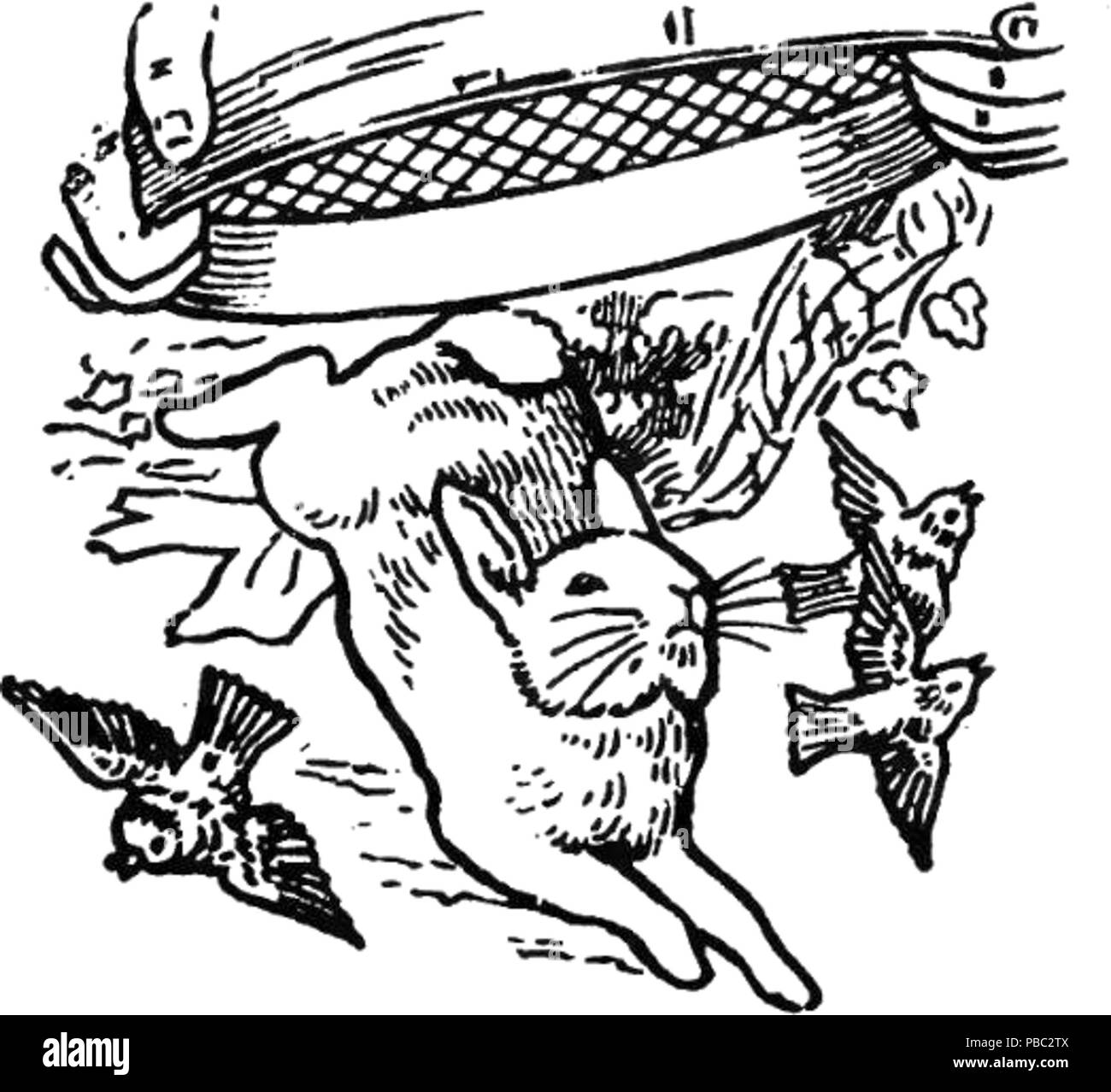 Peter rabbit Black and White Stock Photos & Images - Alamy