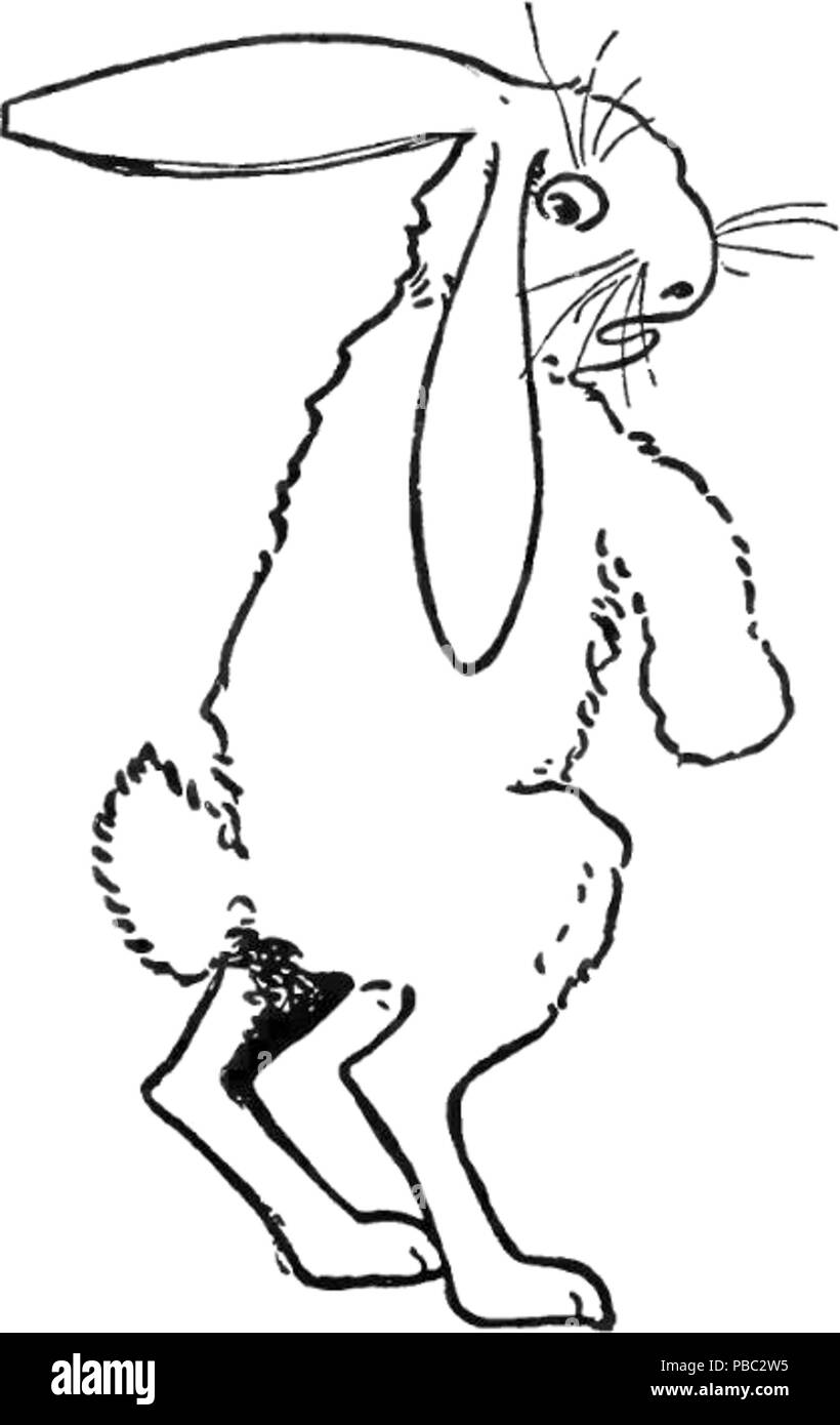 Peter rabbit Black and White Stock Photos & Images - Alamy