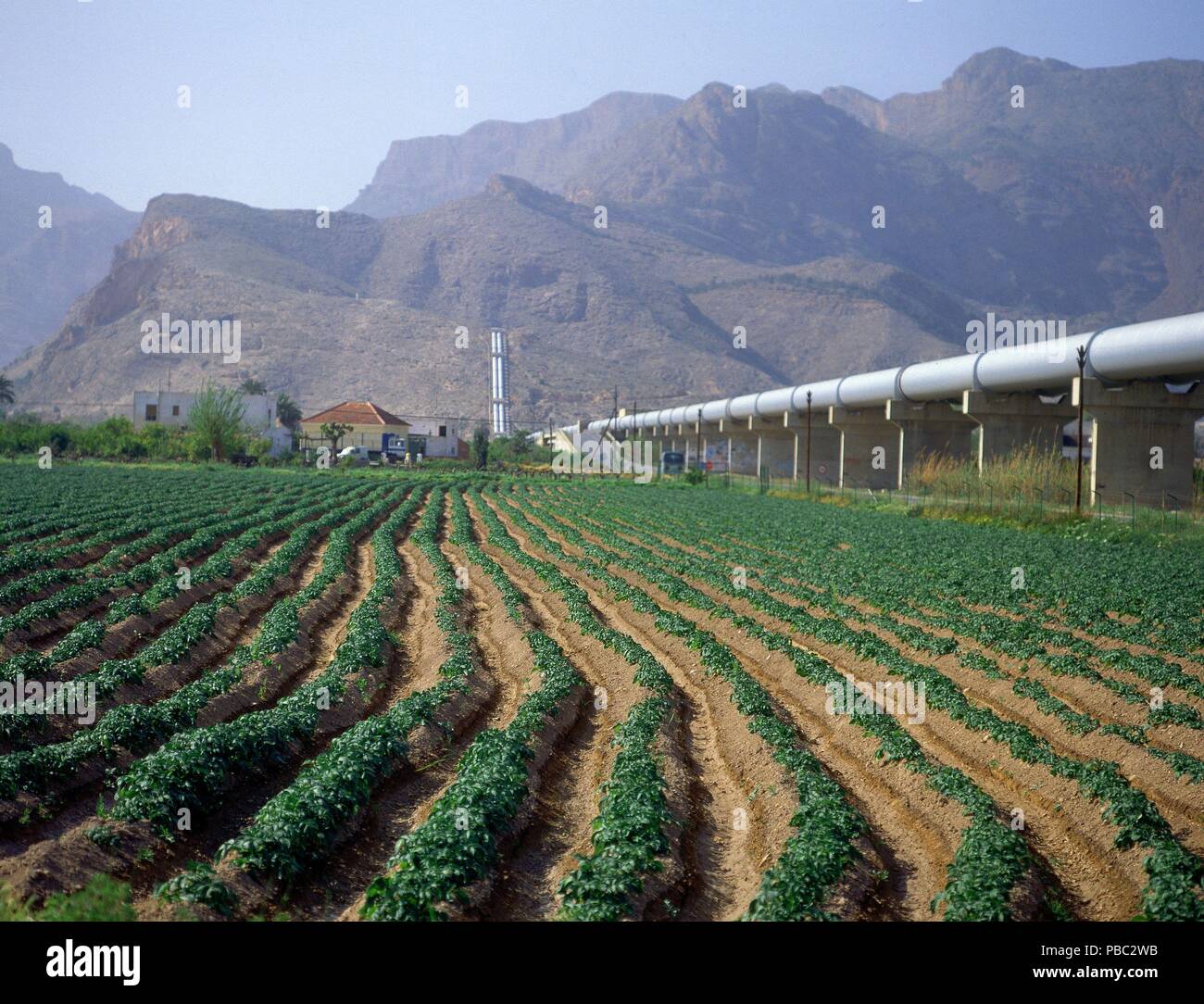 HUERTAS - CONDUCCION DE AGUA PRESURIZADA. Location: EXTERIOR, ORIHUELA ...
