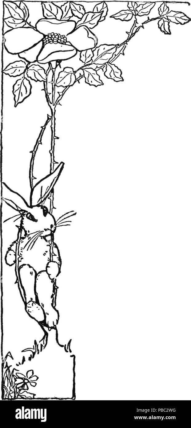 Peter rabbit Black and White Stock Photos & Images - Alamy