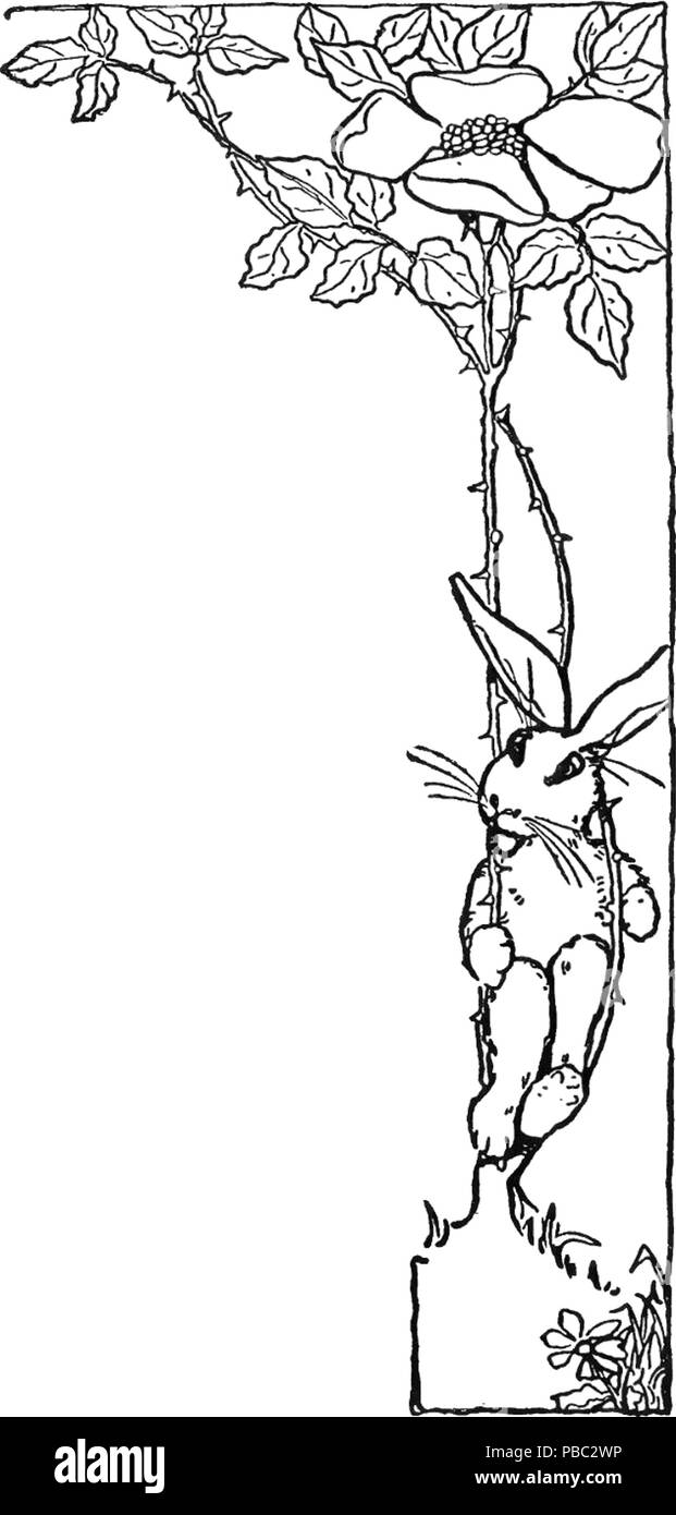 Peter rabbit Black and White Stock Photos & Images - Alamy