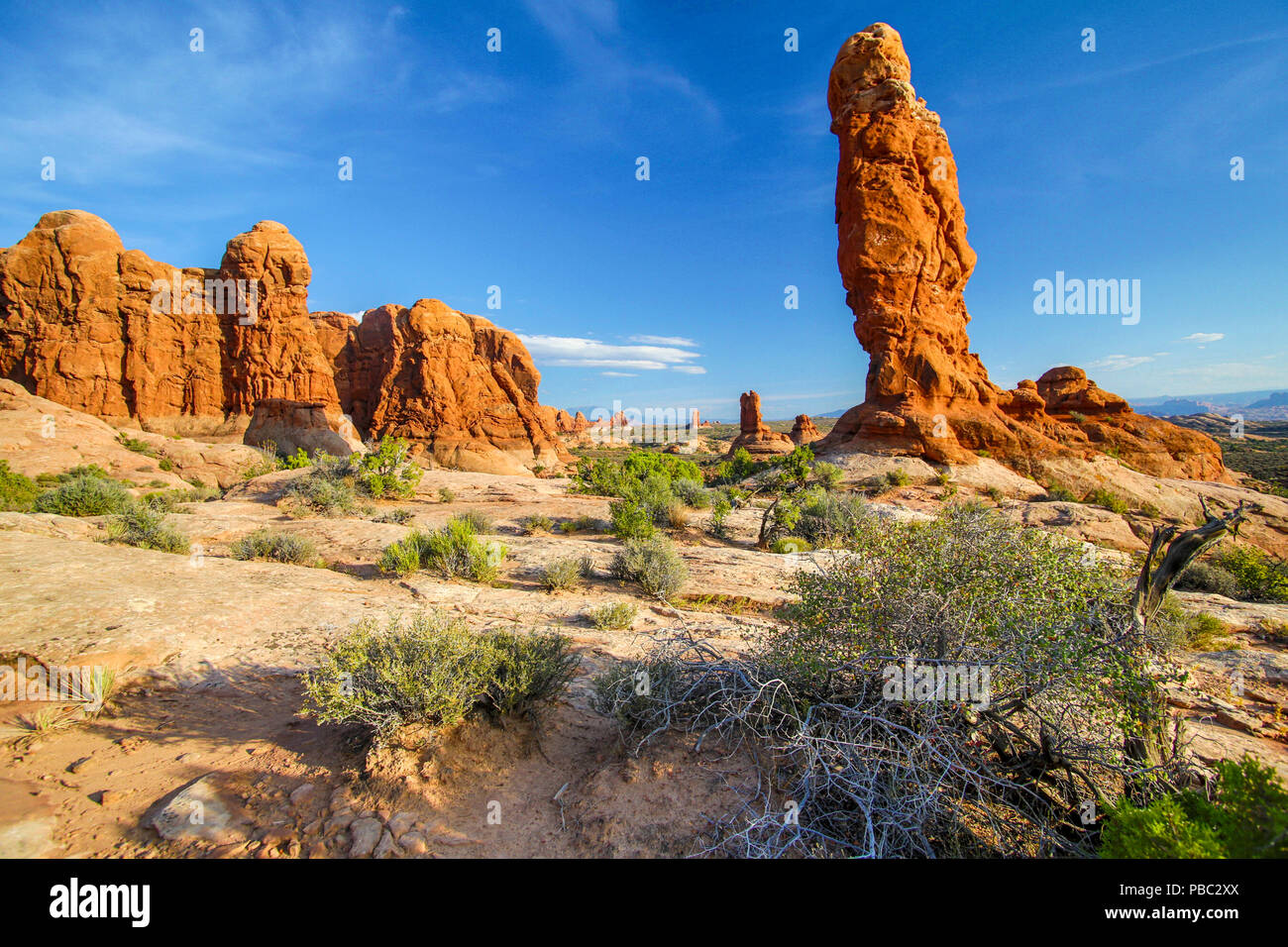 Rough erosion pinnacle rocks at Arches National Park in Utah Stock ...