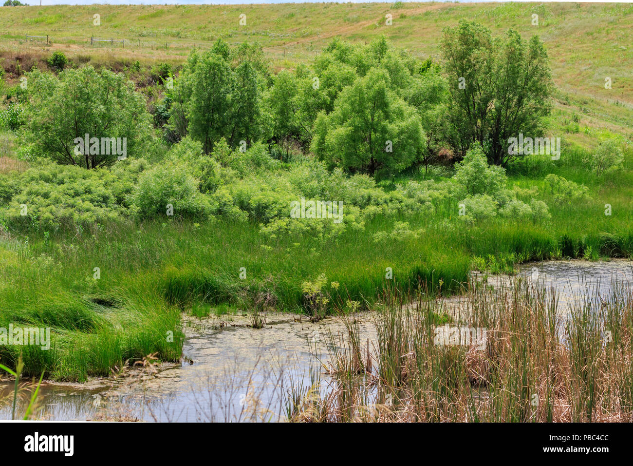Roadside scene in central Oklahoma Stock Photo - Alamy