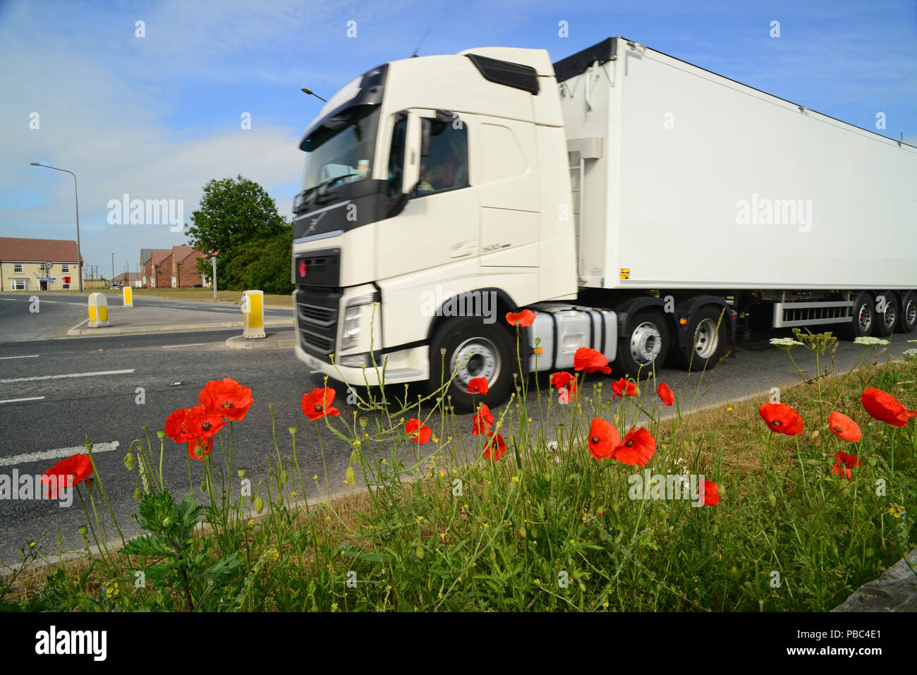 Long distance driver truck hi-res stock photography and images - Alamy