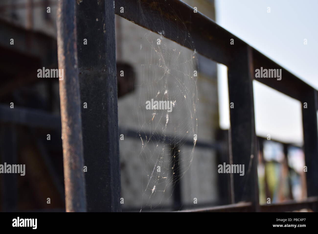 Spider web on the railing Stock Photo - Alamy
