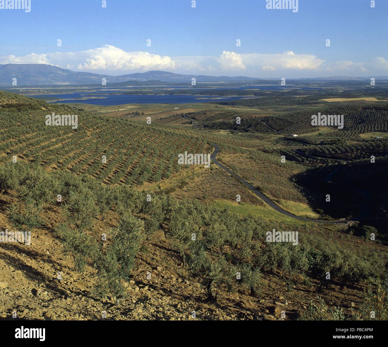 PANTANO DE GABRIEL Y GALAN. Location: EXTERIOR, PROVINCIA, SPAIN Stock ...