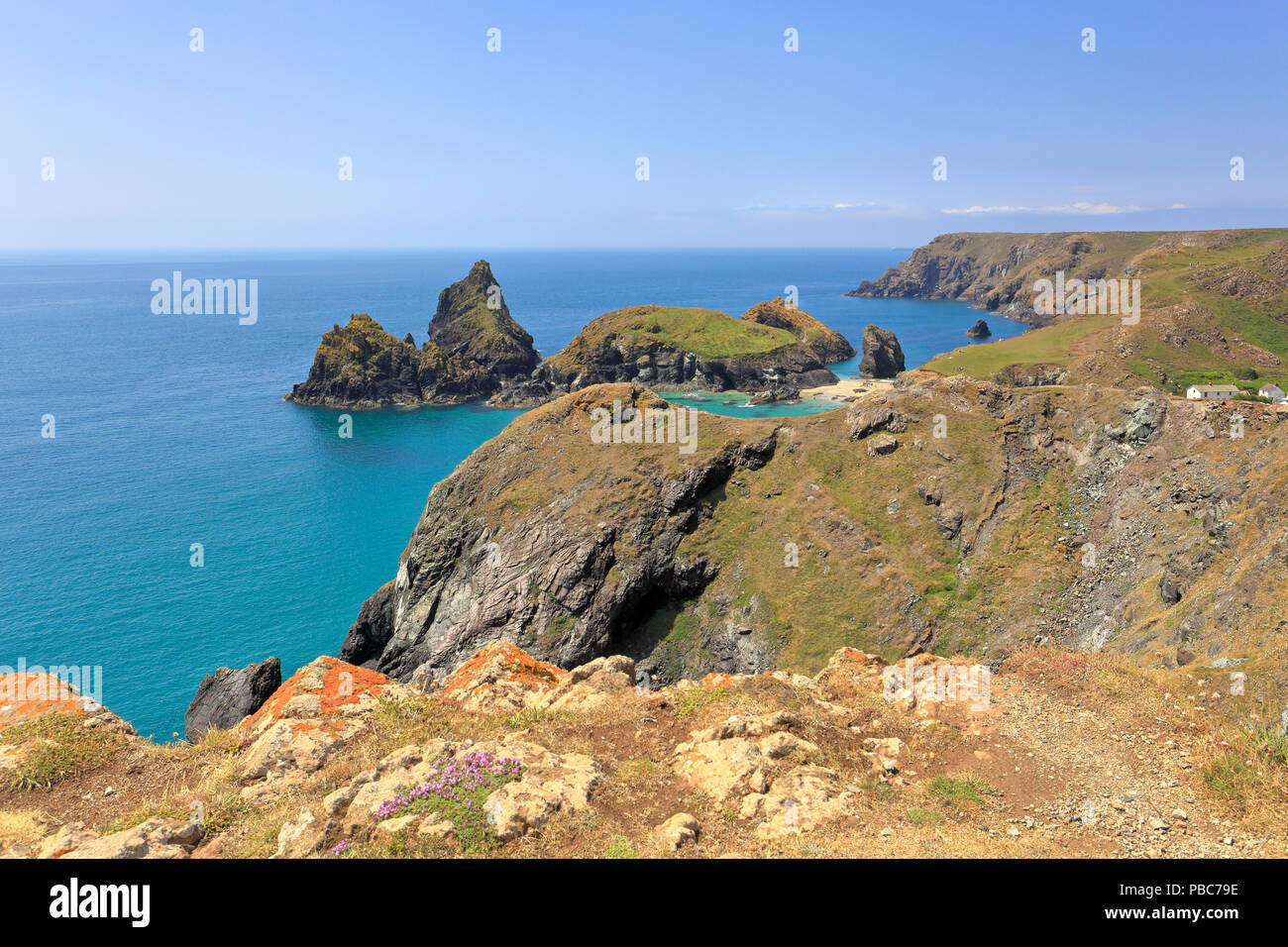 The sea stacks off Kynance Cove from the South West Coast Path on ...