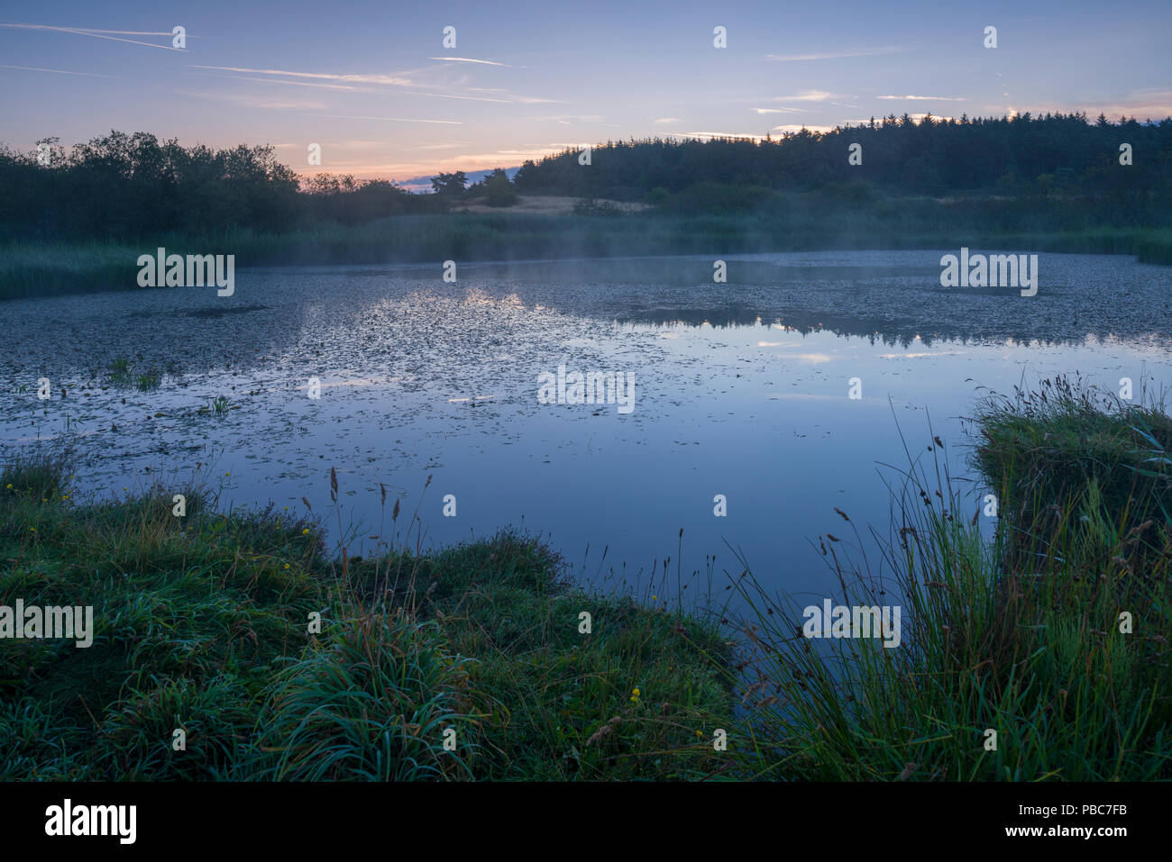 Mineries Pool at dawn at Priddy Mineries in the Mendip Hills, Somerset ...