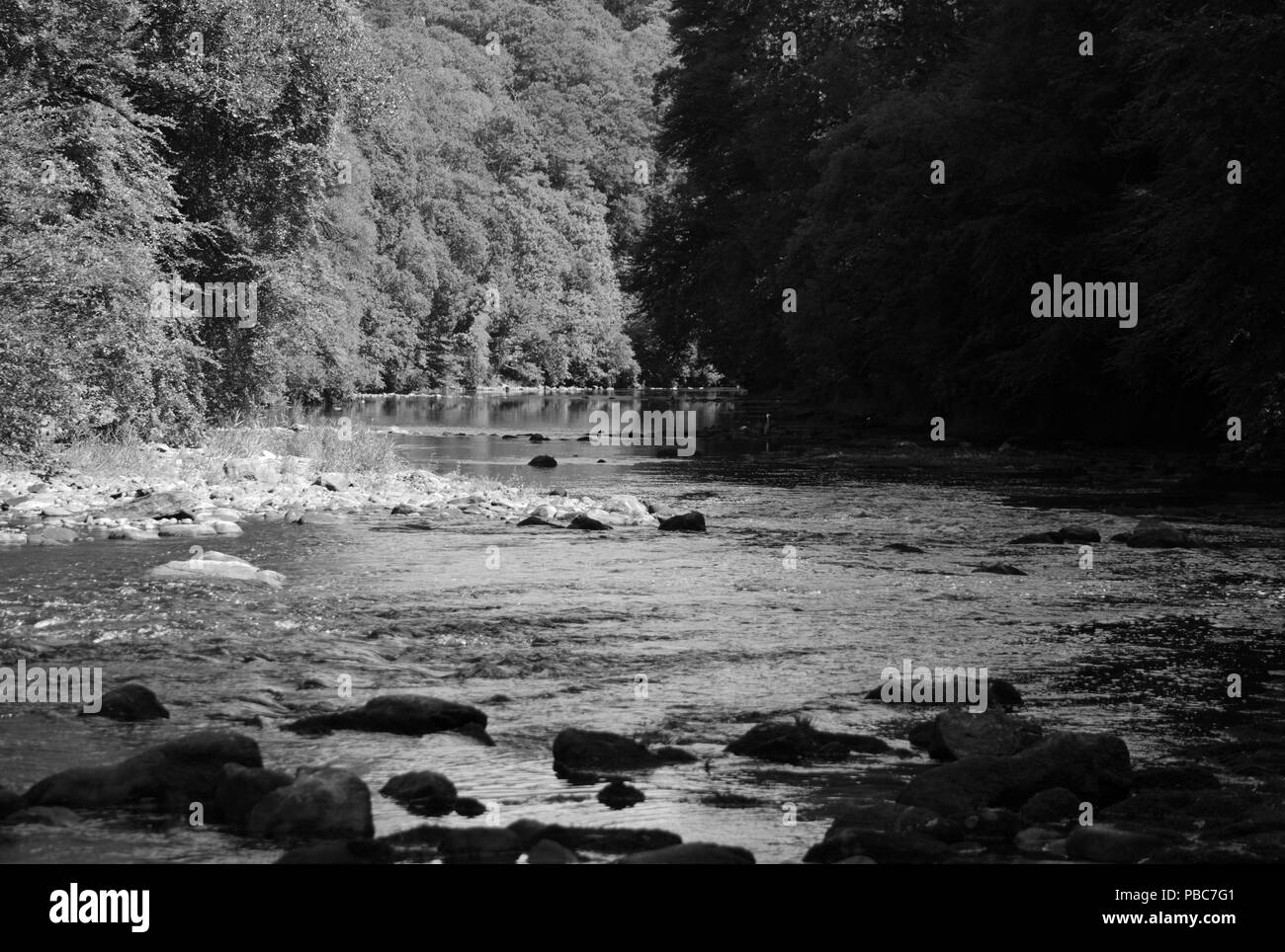 River ayr failford hi-res stock photography and images - Alamy