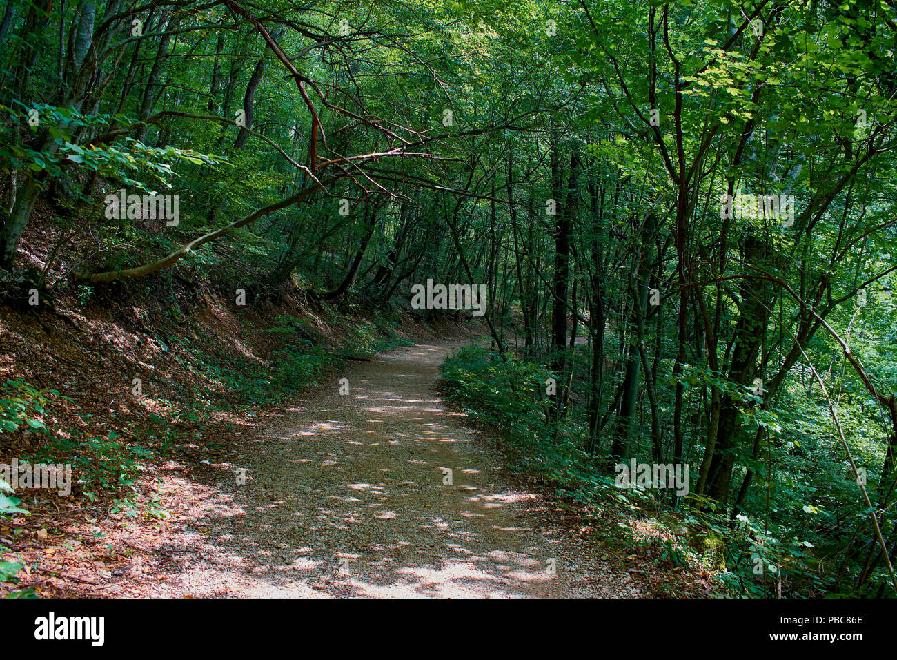 Walk pathway hi-res stock photography and images - Alamy