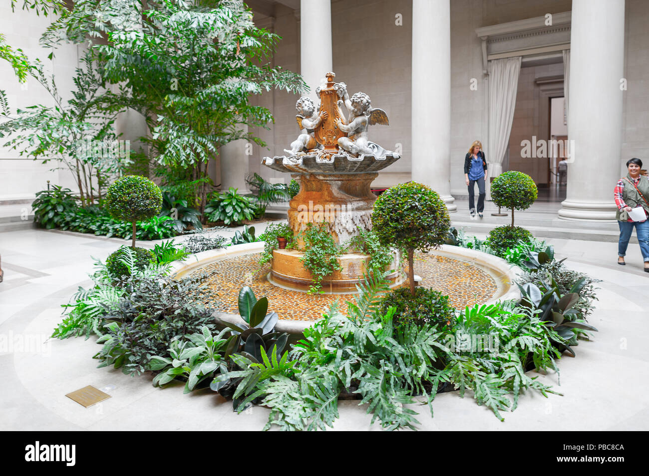 WASHINGTON, USA - SEP 24, 2015: Green plants at the National Gallery of ...