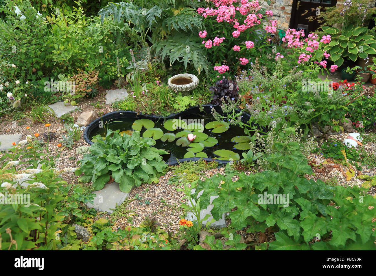 Newly planted garden with pond Stock Photo - Alamy