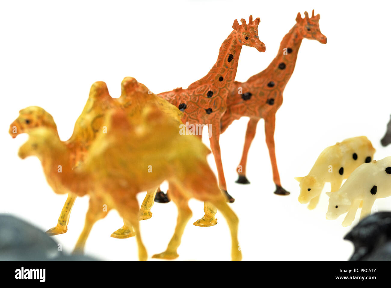 Toy giraffes, camels, and cows from a vintage Noah's Ark play set ...