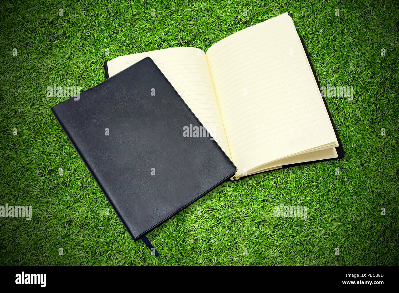 Green leather notebook hi-res stock photography and images - Alamy