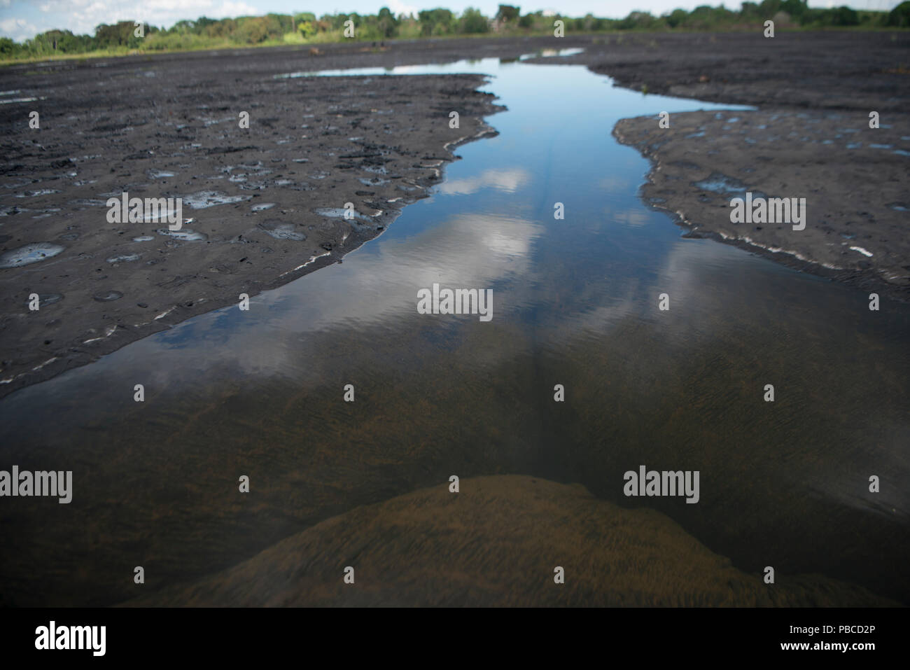 Pitch lake trinidad hi-res stock photography and images - Alamy