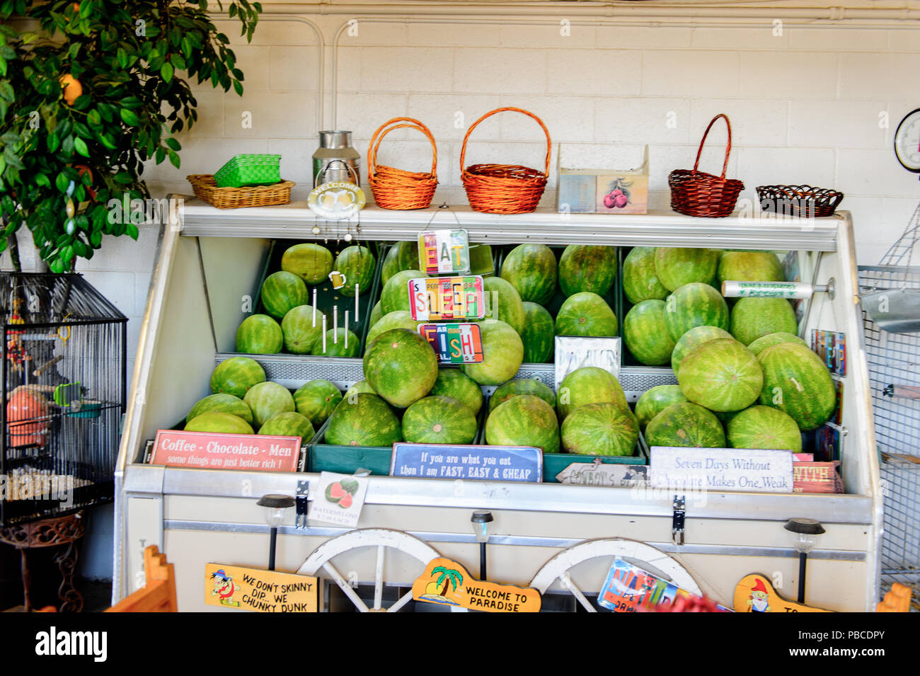 MERCED, CALIFRONIA - OCT 4, 2015: Fresh melons at the Merced fruit barn ...