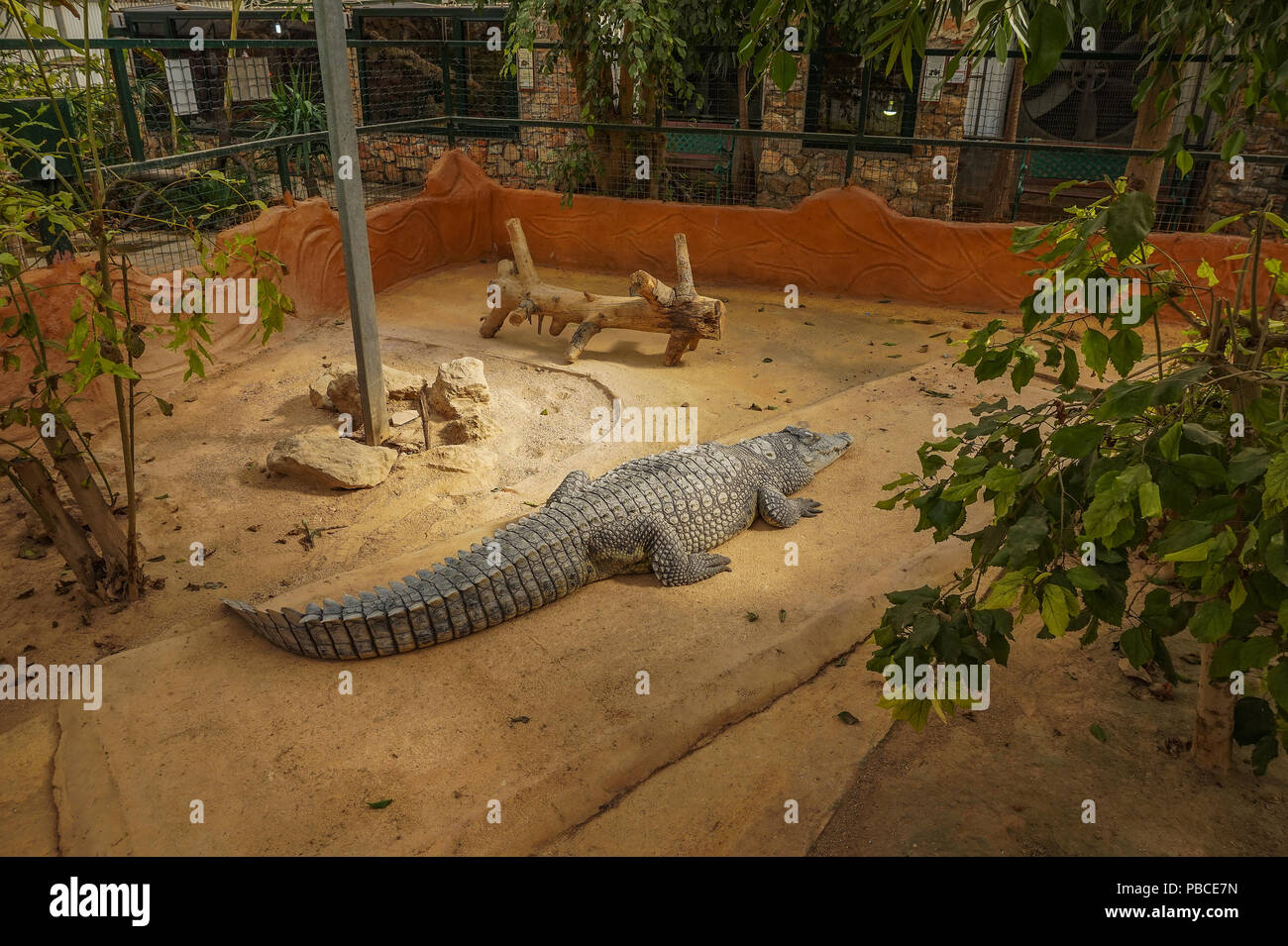 Zoo greece hi-res stock photography and images - Alamy