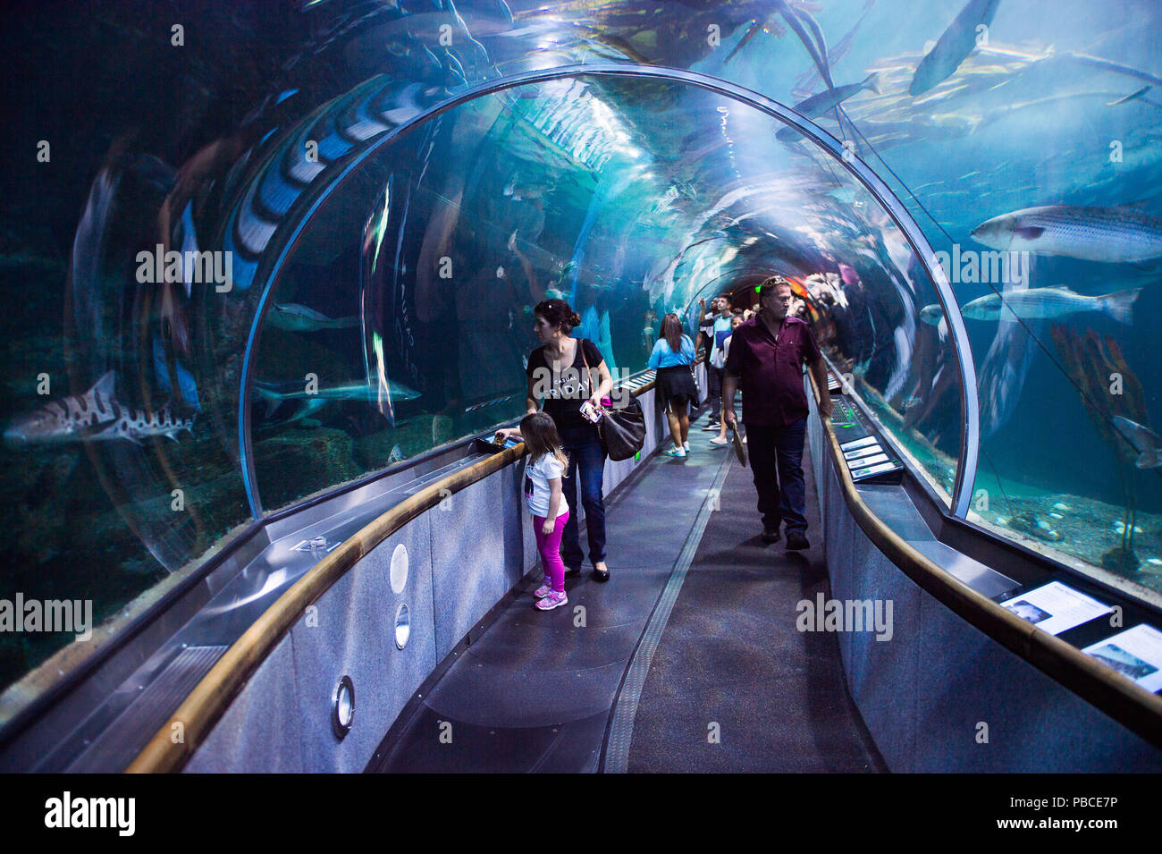 Aquarium bay in san francisco hi-res stock photography and images - Alamy