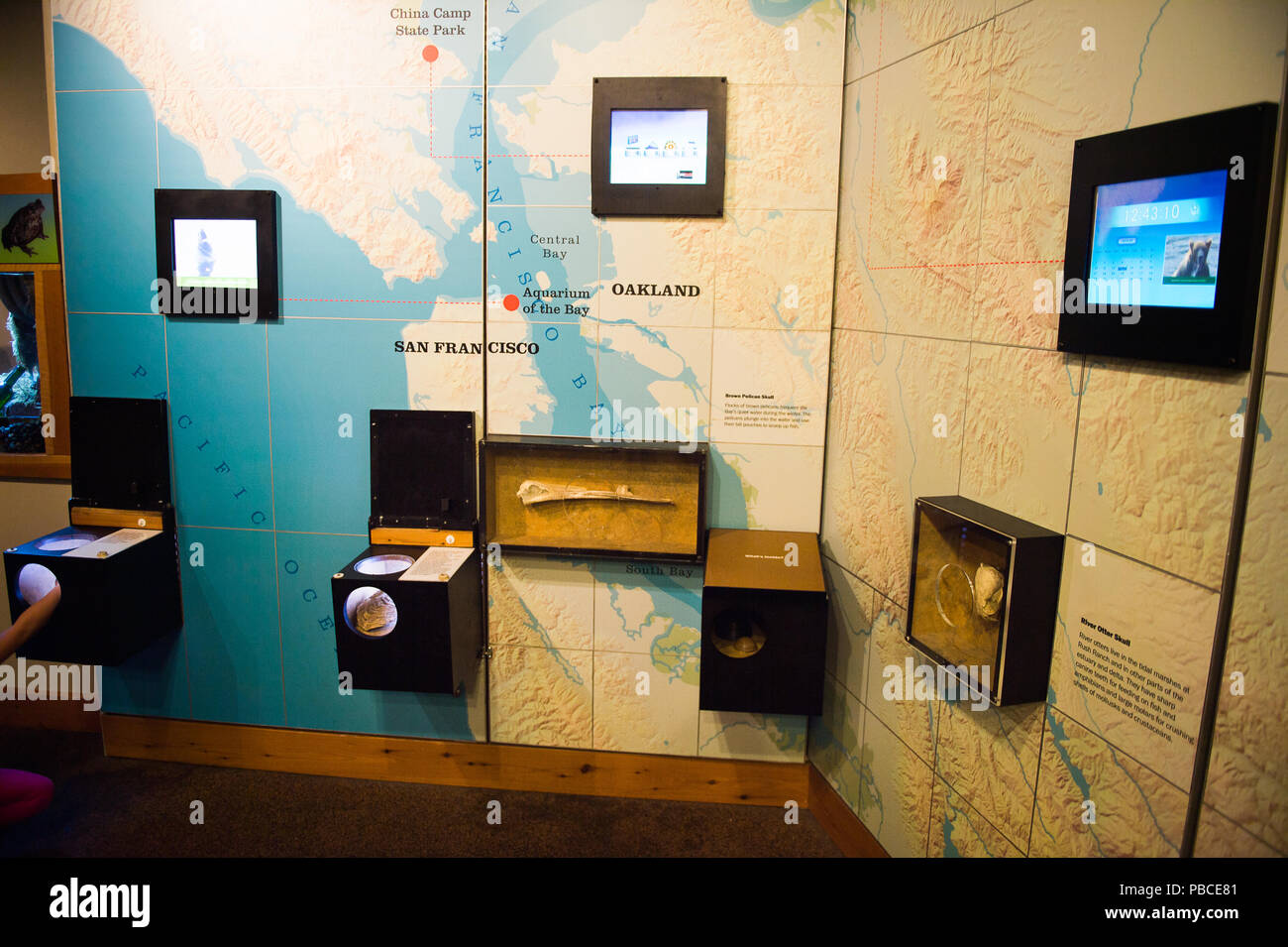 Aquarium bay in san francisco hi-res stock photography and images - Alamy