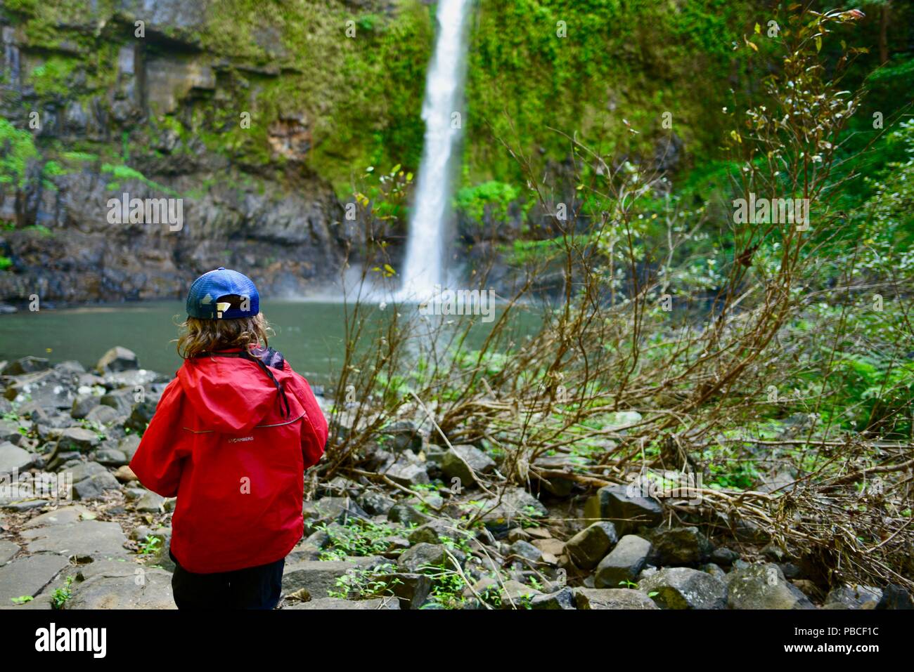 Upper Nandroya falls, falls Nandroya Falls Circuit, Atherton Tablelands ...