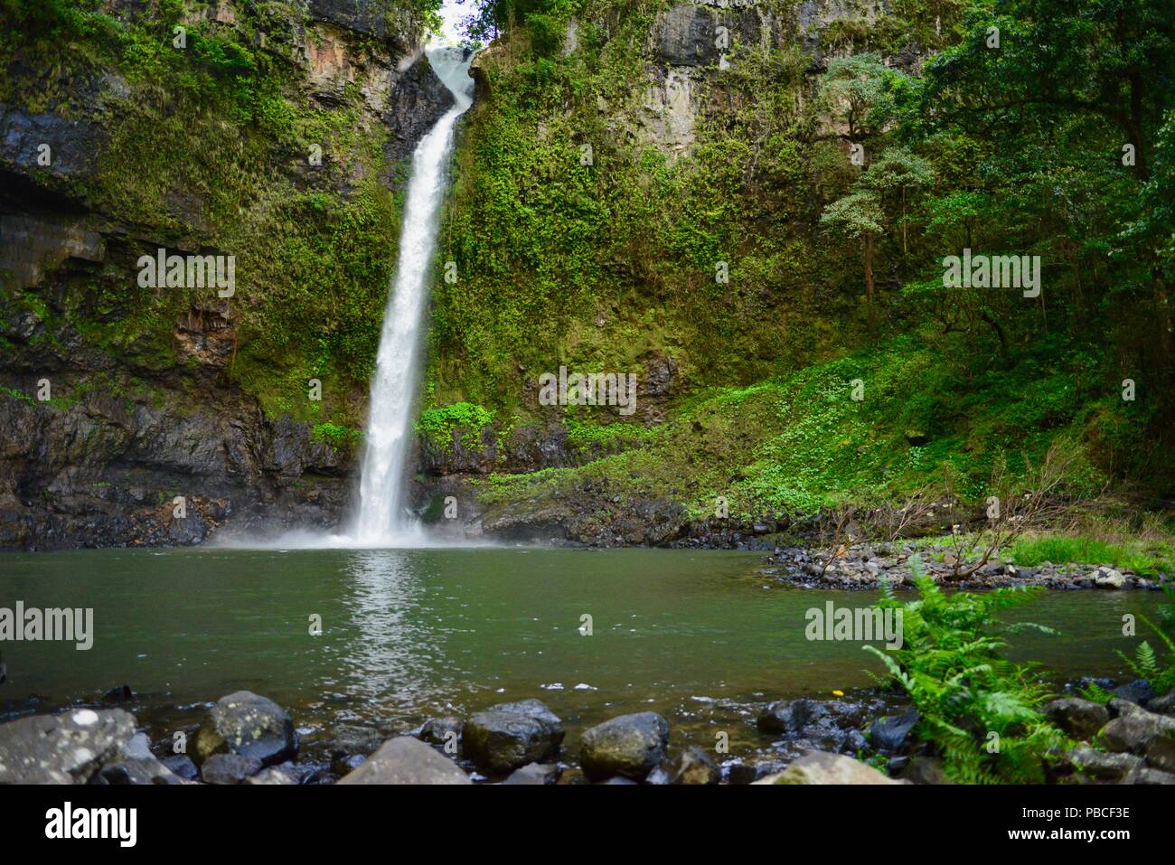 Upper Nandroya falls, falls Nandroya Falls Circuit, Atherton Tablelands ...