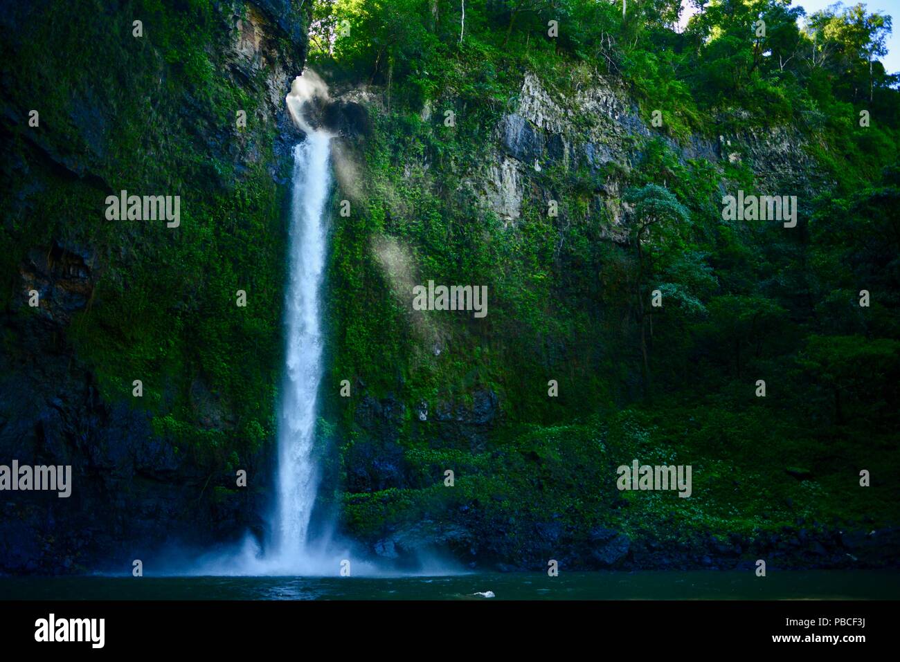 Upper Nandroya falls, falls Nandroya Falls Circuit, Atherton Tablelands ...