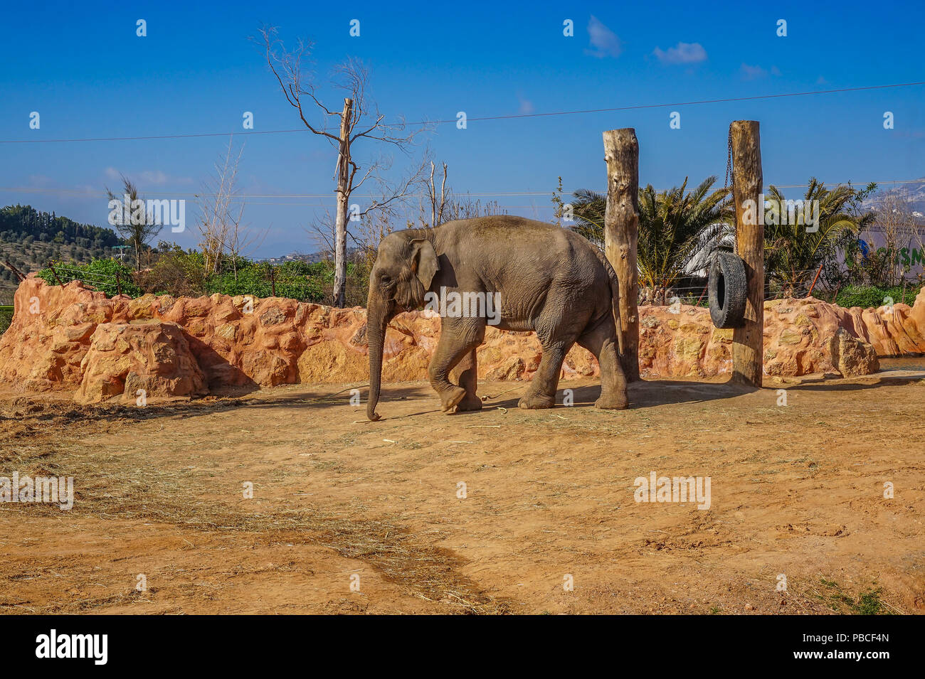 Attica zoo hi-res stock photography and images - Alamy
