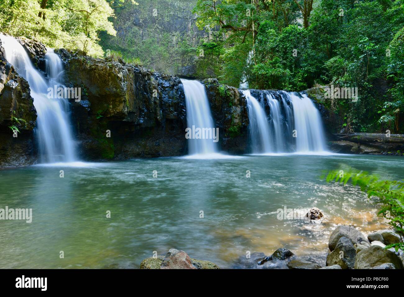 Nandroya Falls Circuit, Atherton Tablelands, QLD, Australia Stock Photo ...