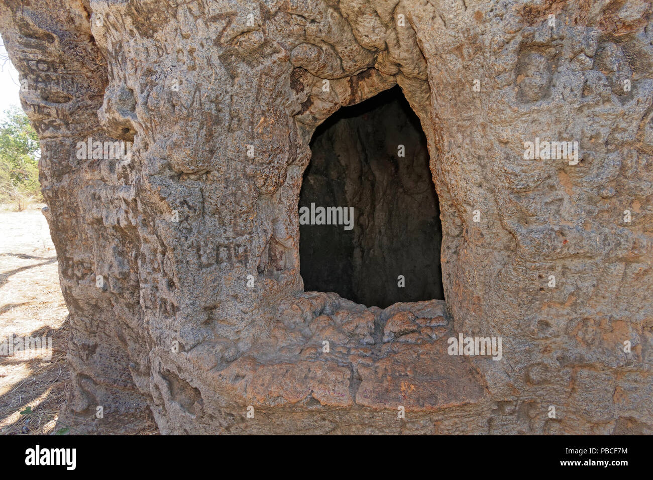 Wyndham boab prison tree hi-res stock photography and images - Alamy
