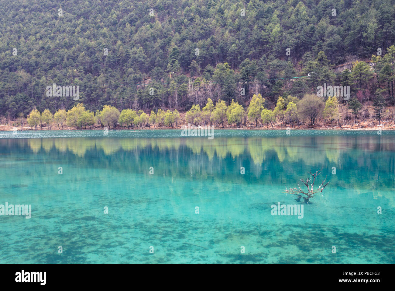 Blue Moon Valley in Lijiang, Yunnan, China Stock Photo - Alamy