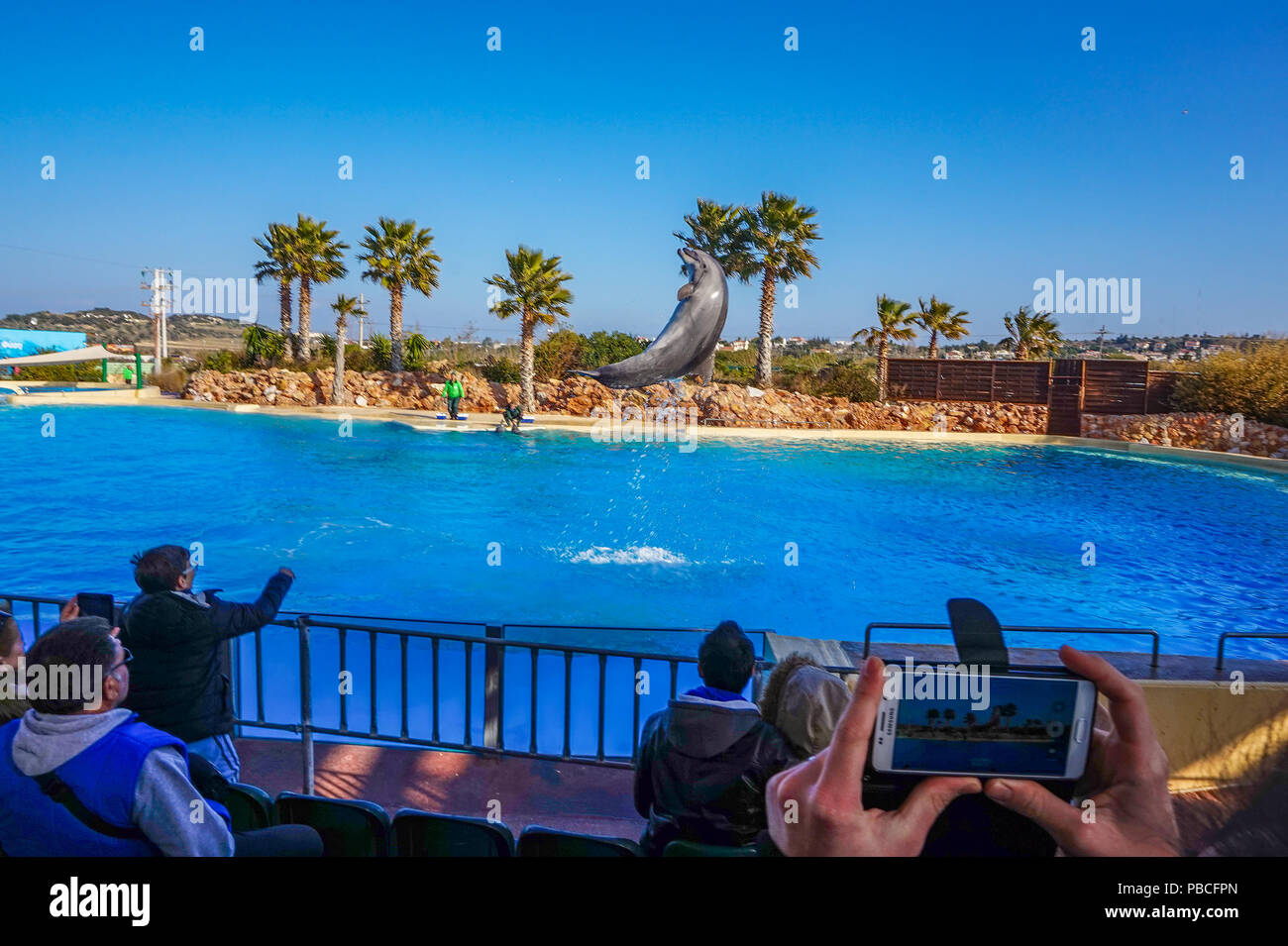 Dolphin show at the Attica Zoo park, Athens, Greece Stock Photo - Alamy
