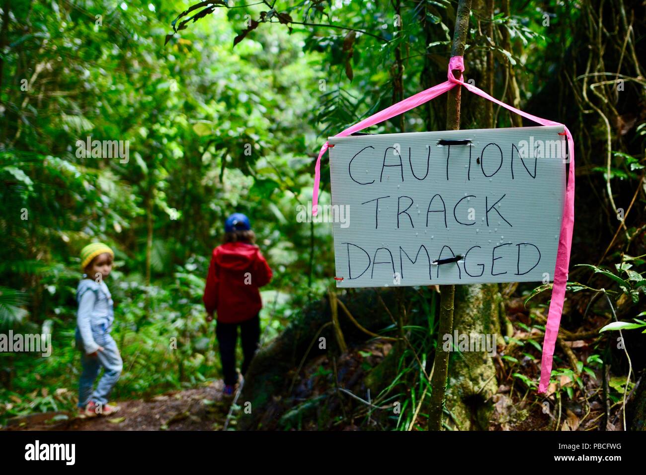 Caution track damaged sign, Nandroya Falls Circuit, Atherton Tablelands ...
