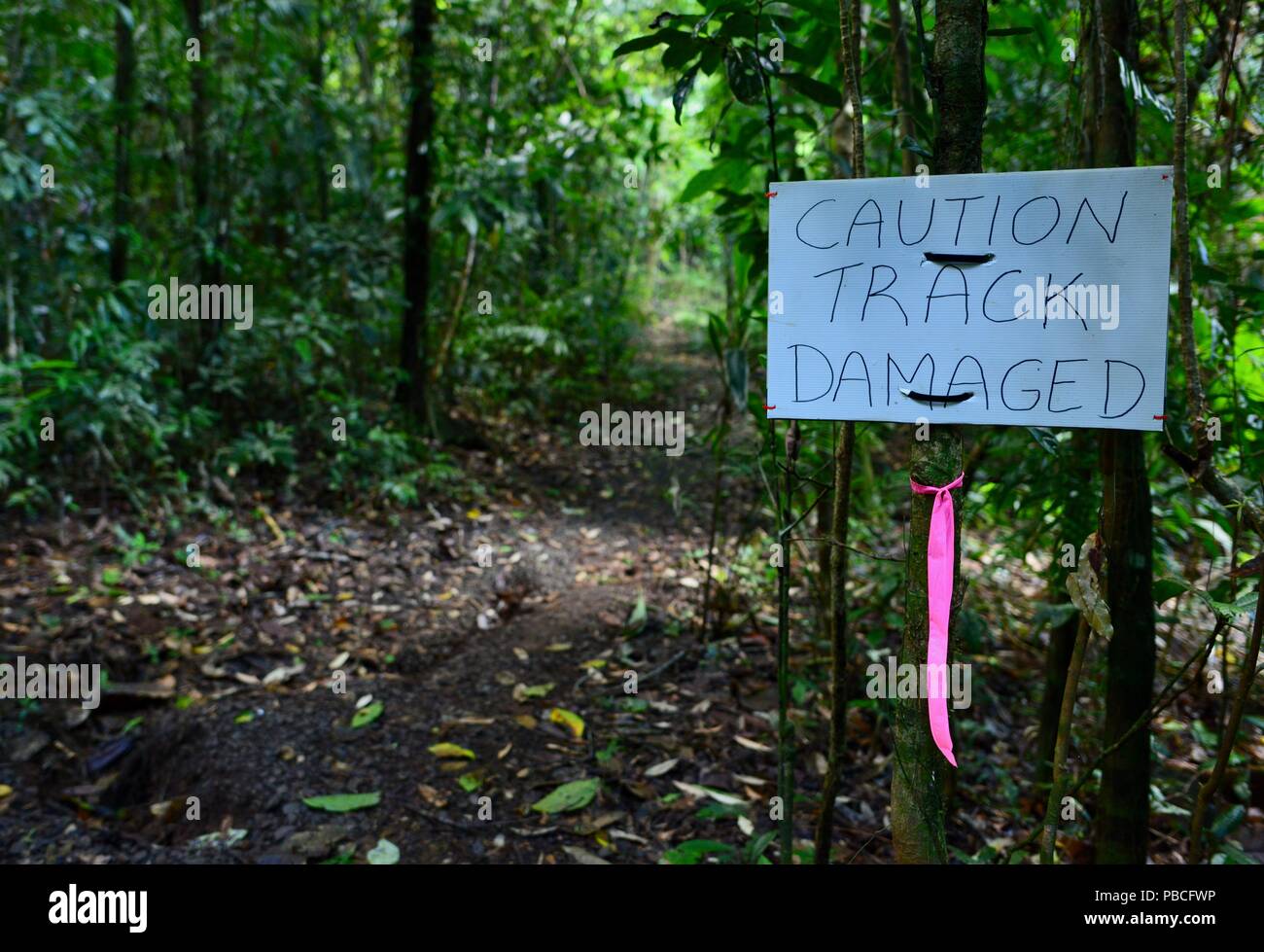 The path to success, Caution track damaged sign, Nandroya Falls Circuit ...