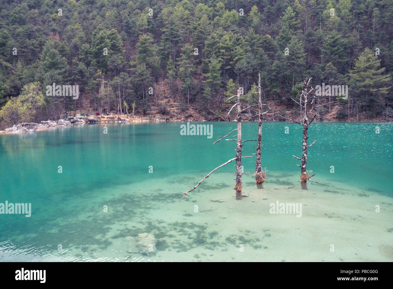 Blue Moon Valley in Lijiang, Yunnan, China Stock Photo - Alamy