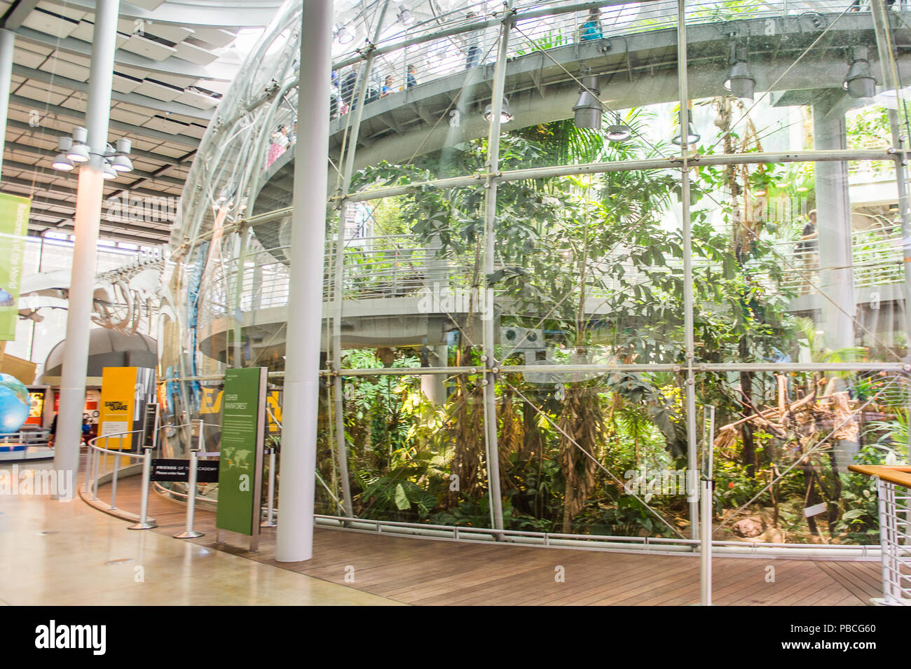 SAN FRANCISCO, USA - OCT 5, 2015: Rainforests of the World enclosure in ...